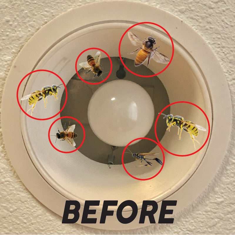 Home | CANDOM - Best Quality Can Lights Protector Online – Candom